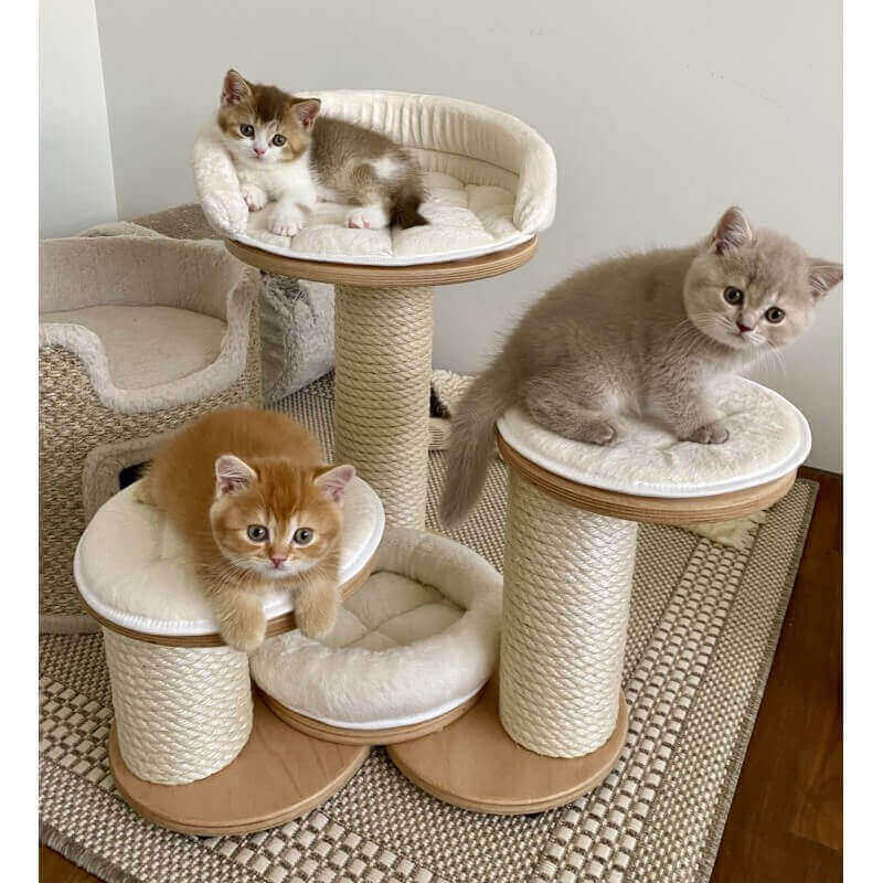 Baby tree Flower textile color Microfiber nature white Color wood and ...